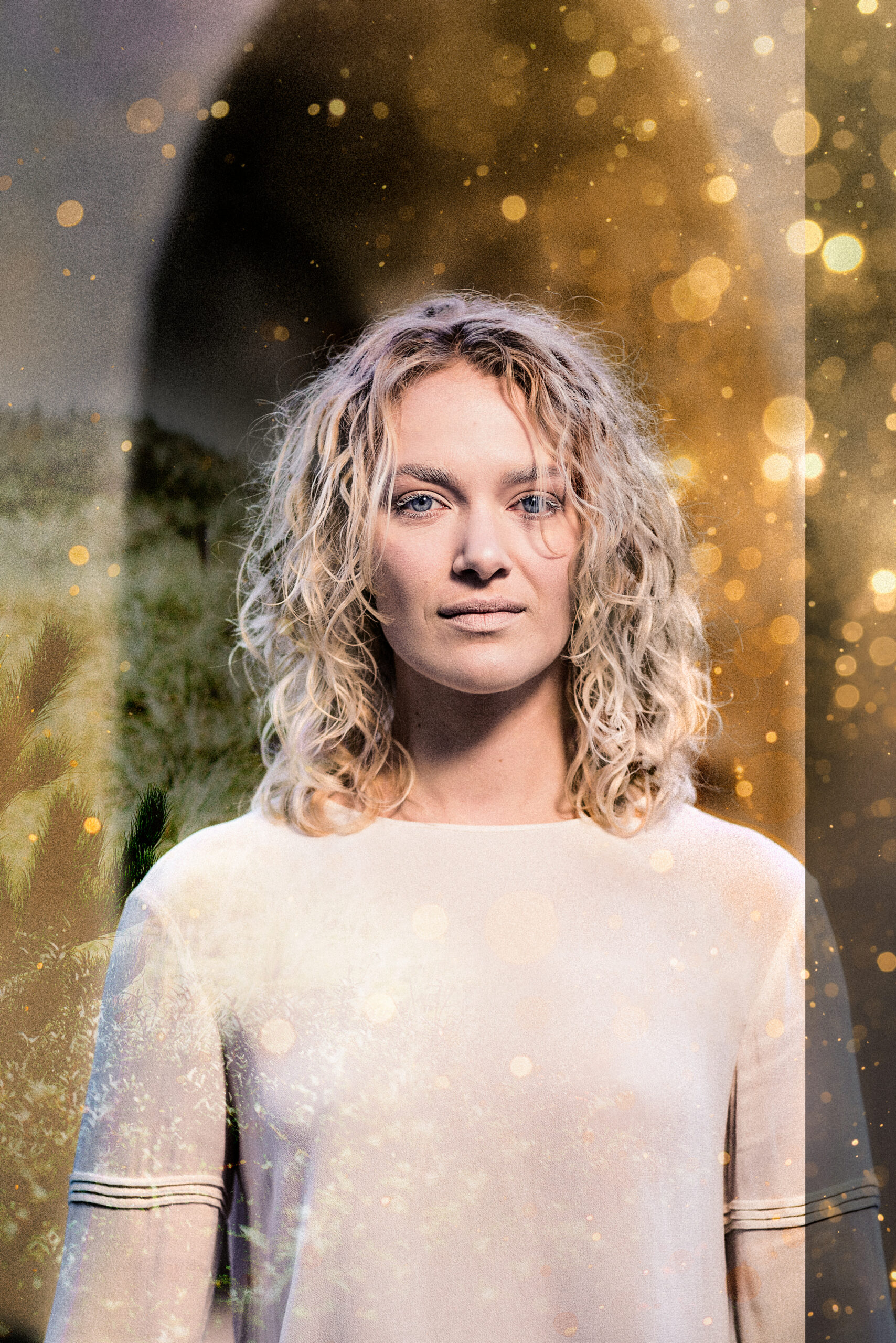 Sternstunde - Holland Baroque